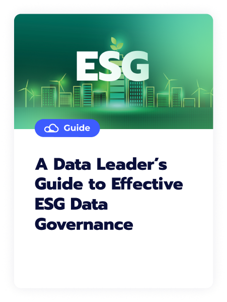 Guide to Effective ESG Data Governance