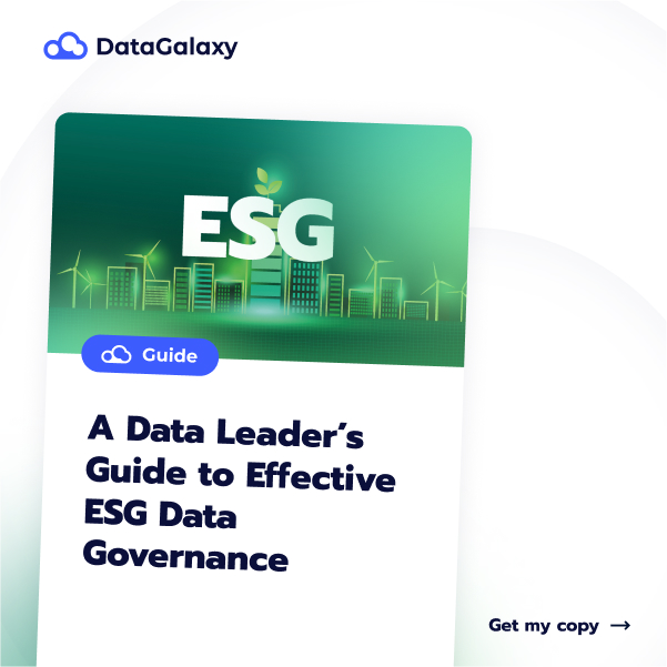 Guide to Effective ESG Data Governance
