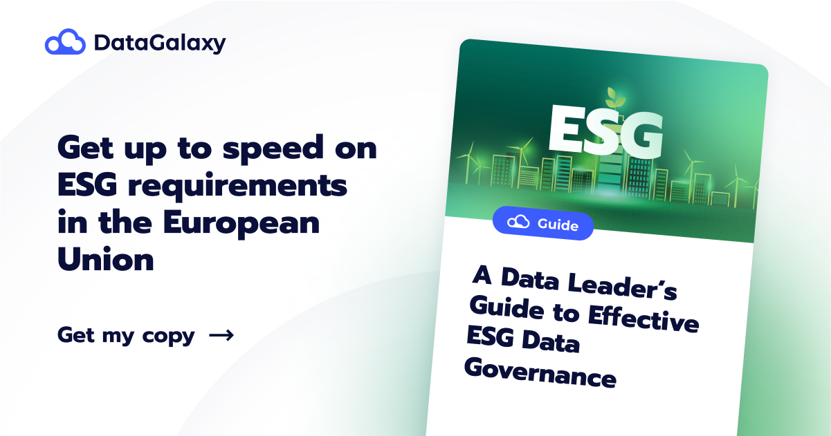Guide to Effective ESG Data Governance in the EU